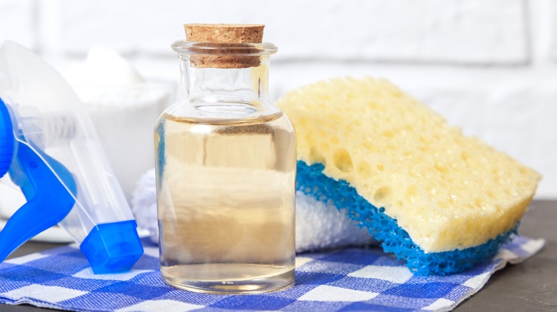 How To Clean Your Kitchen With Just Apple Cider Vinegar