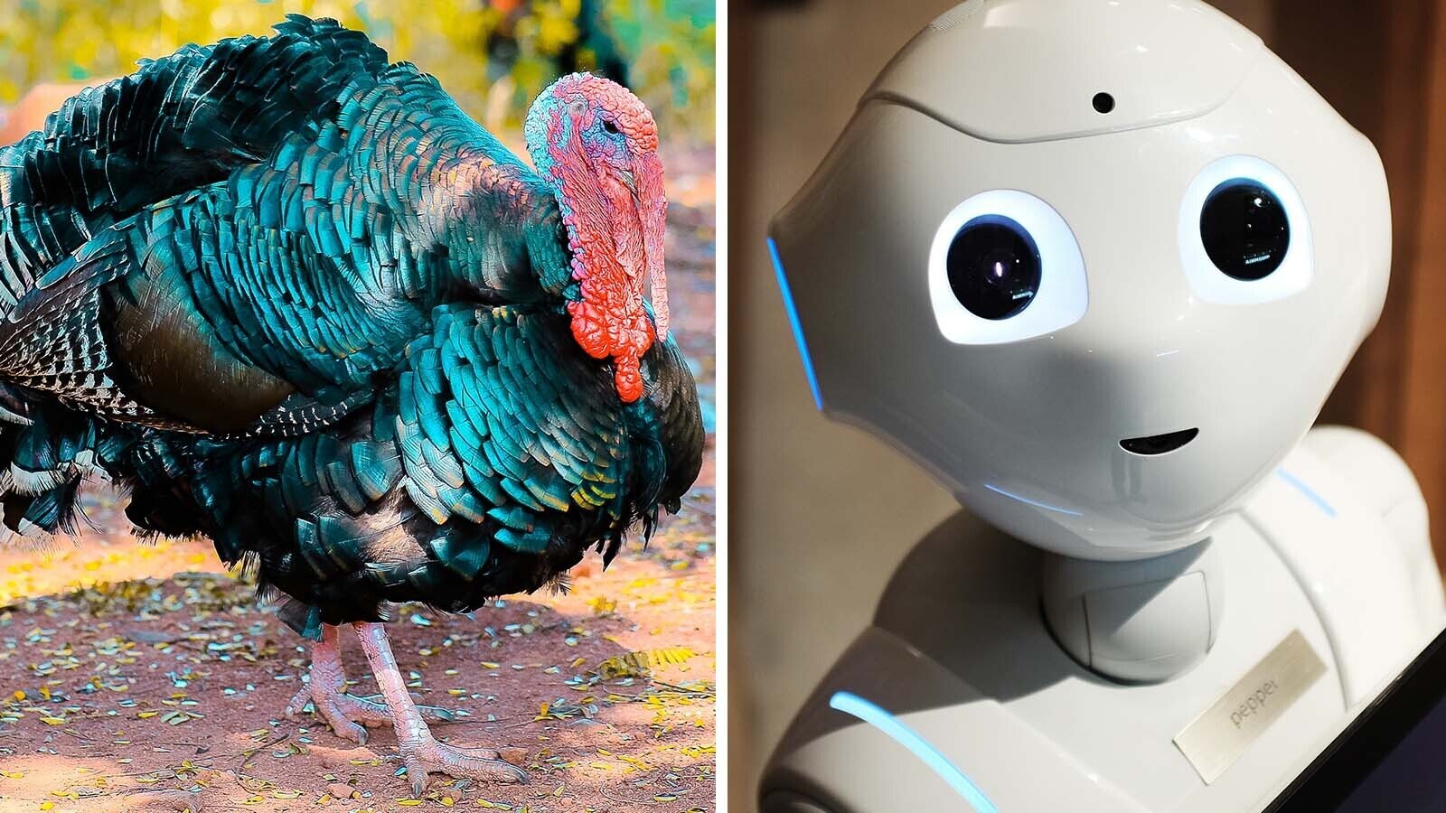 20 Real Science Experiments That Read Like Sci-Fi