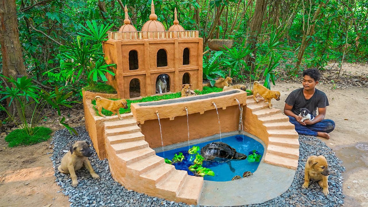 From the streets to paradise – a hand-built turtle pond and dog villa ...