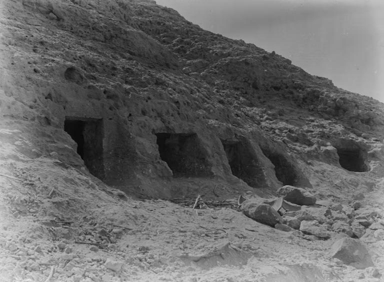 Researchers analyzed DNA samples from Old Kingdom Egypt that shows the ...