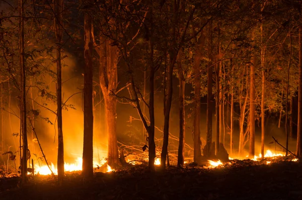 Fall 2025’s Warm, Wild, and Wet Forecast And How to Stay Ready