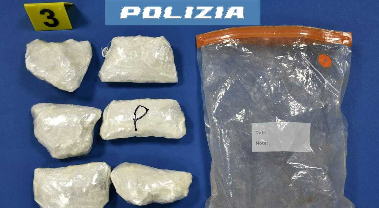 Casette d'Ete, via vai sospetto nel bosco: due arrestati, avevano ...