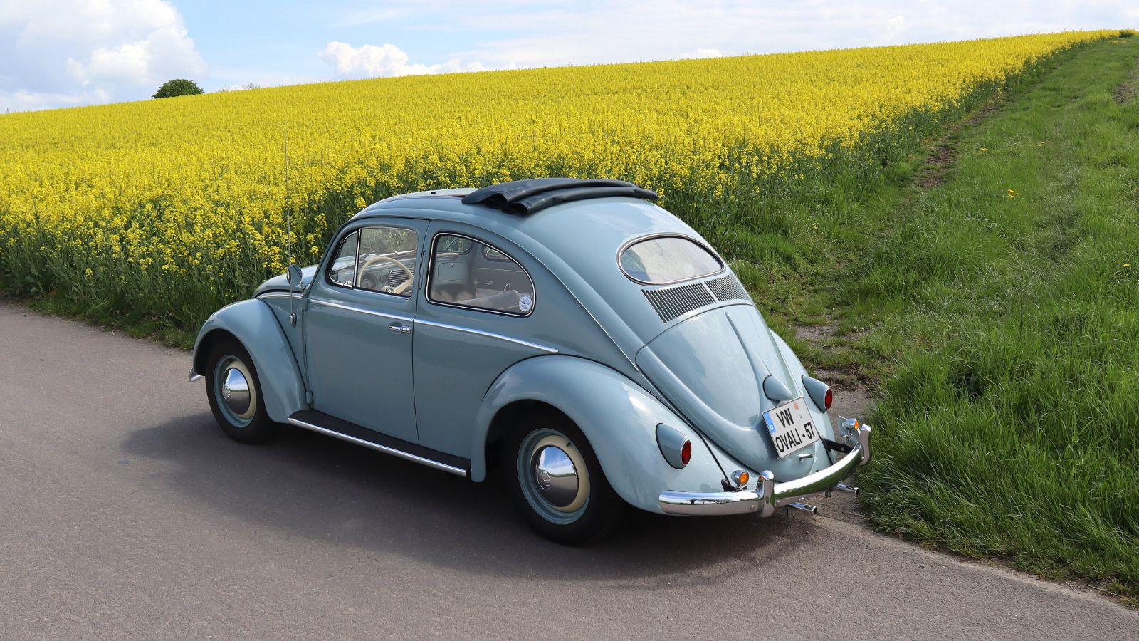8 Lovable Slug Bugs – VW Beetle