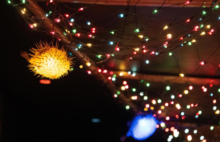 Pearl Divers Oyster Bar brings fresh coast shells to desert