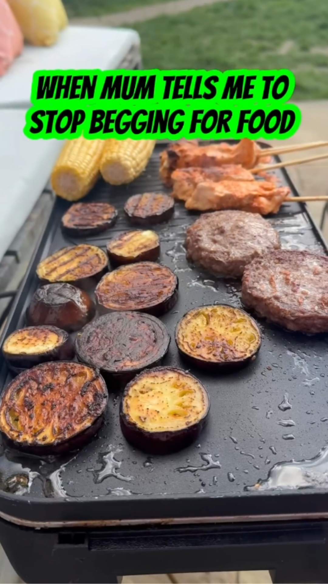 Shepherd Dog's POV: When Mom Tells Me to Stop Begging — I’m Just ...