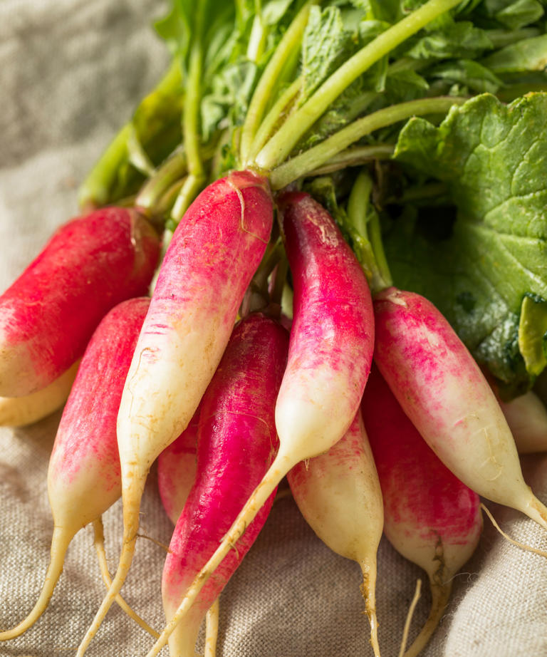 If you want early crops, then sow these 7 vegetables under cold frames ...