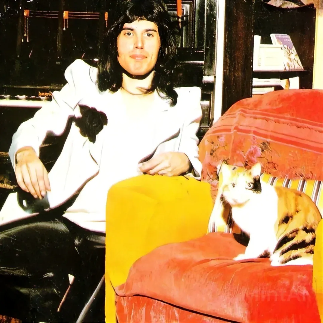 25 Famous People in History Who Were Cat Lovers
