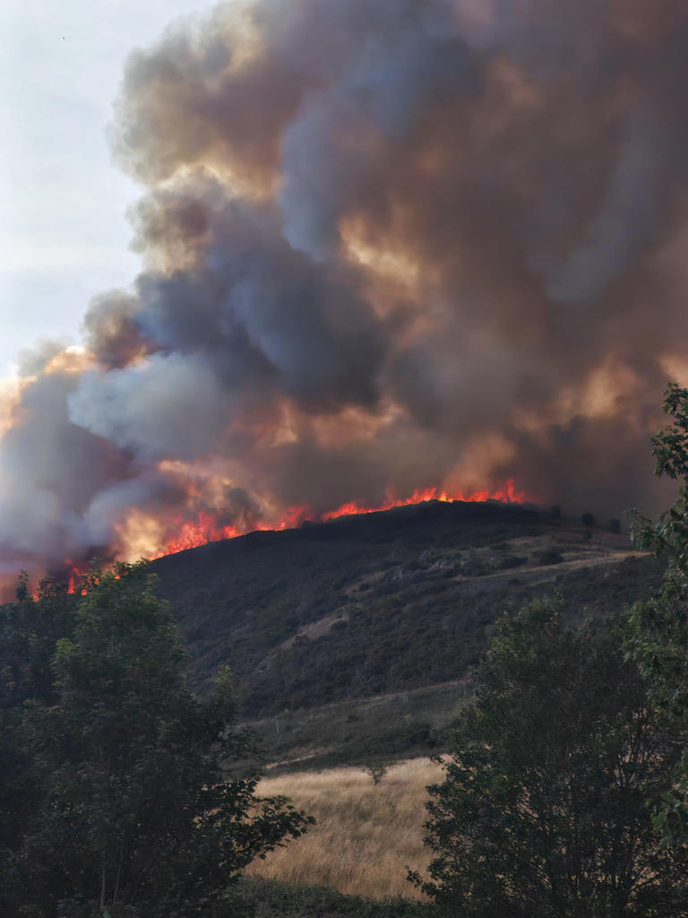 Arthur’s Seat fire live: Human activity ‘almost certainly’ the cause of ...