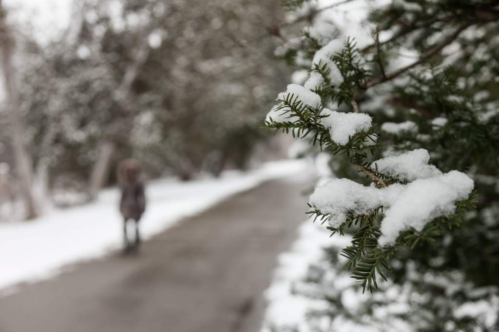 Ontario city overspent dealing with 2nd-worst winter in 30 years: report