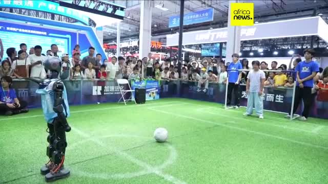 Robots fight in boxing match at 2025 World Robot Conference