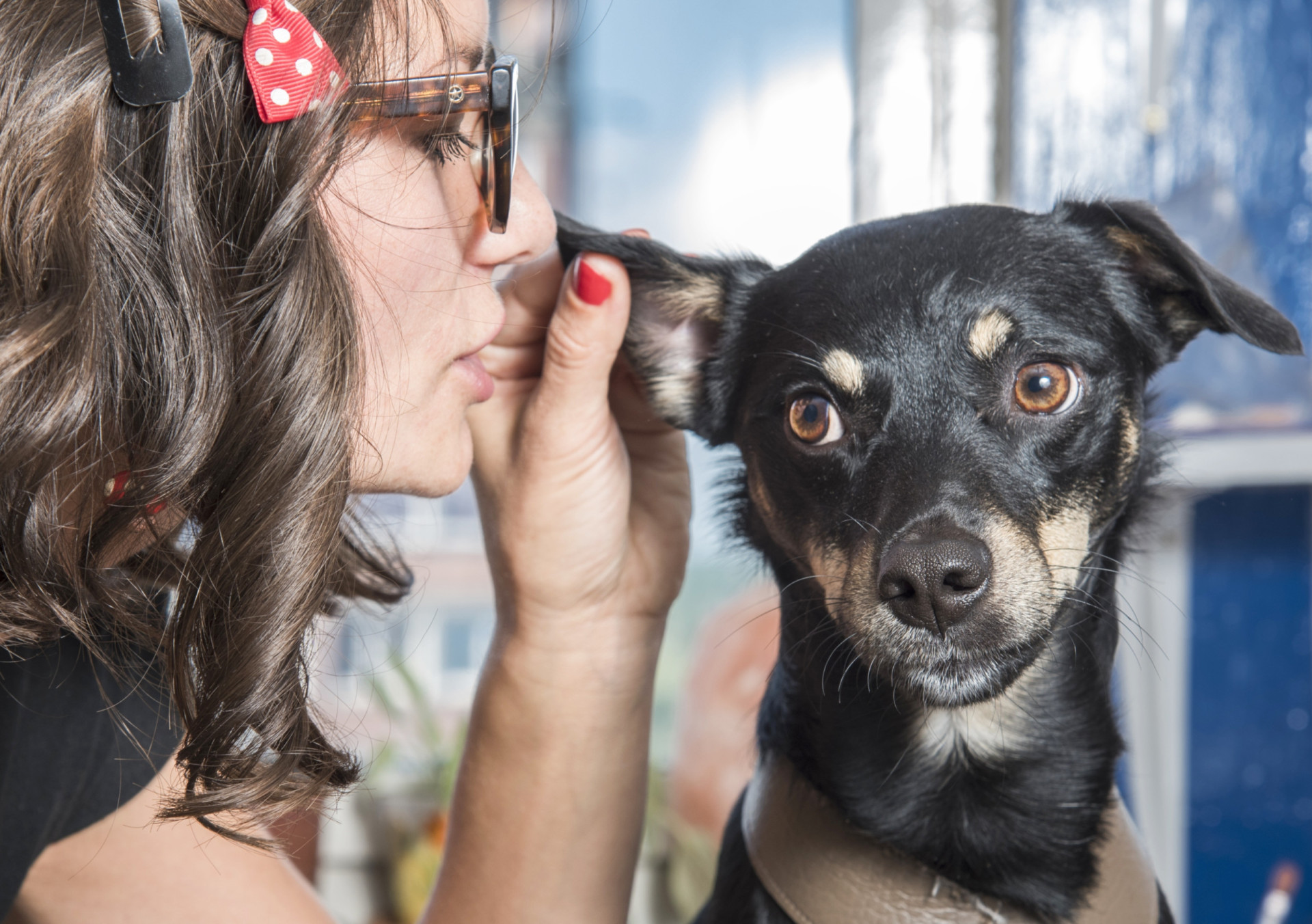 Cómo entender lo que tu perro quiere comunicarte