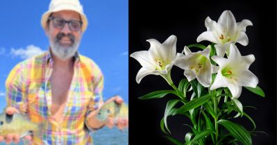 Jeffrey Haas, 68, of Racine – Obituary