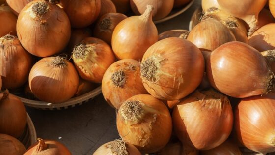 Conservez vos oignons toute une année grâce à cette astuce toute simple