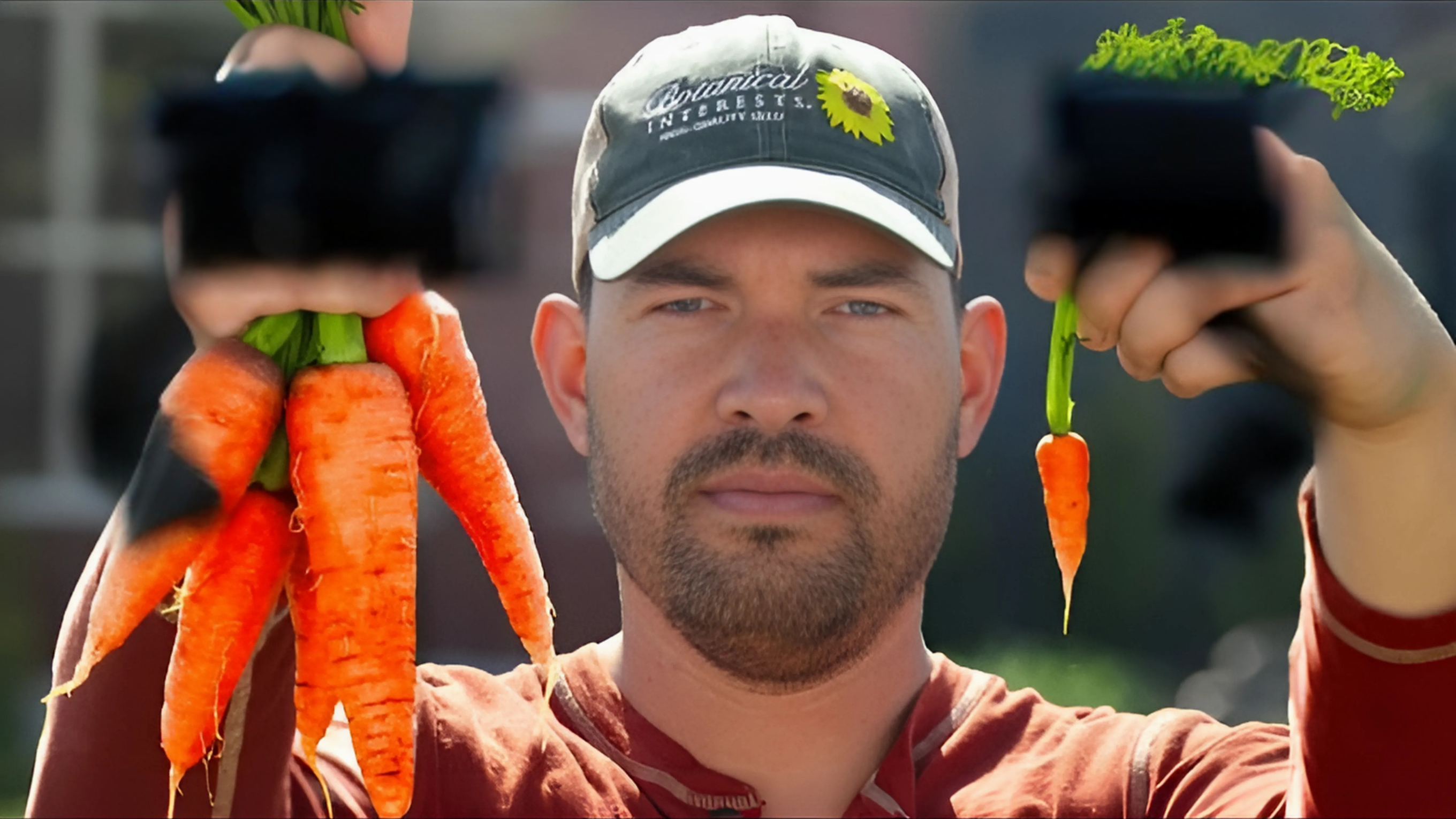 Watch This Before Planting Carrots