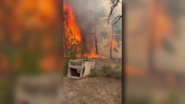 2 arrested for arson after Oak Fire burns 75 acres dangerously close to ...