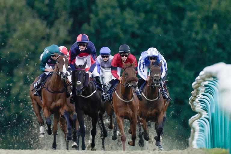 Mares to rule the roost at Lingfield – Jason Heavey's Monday tips