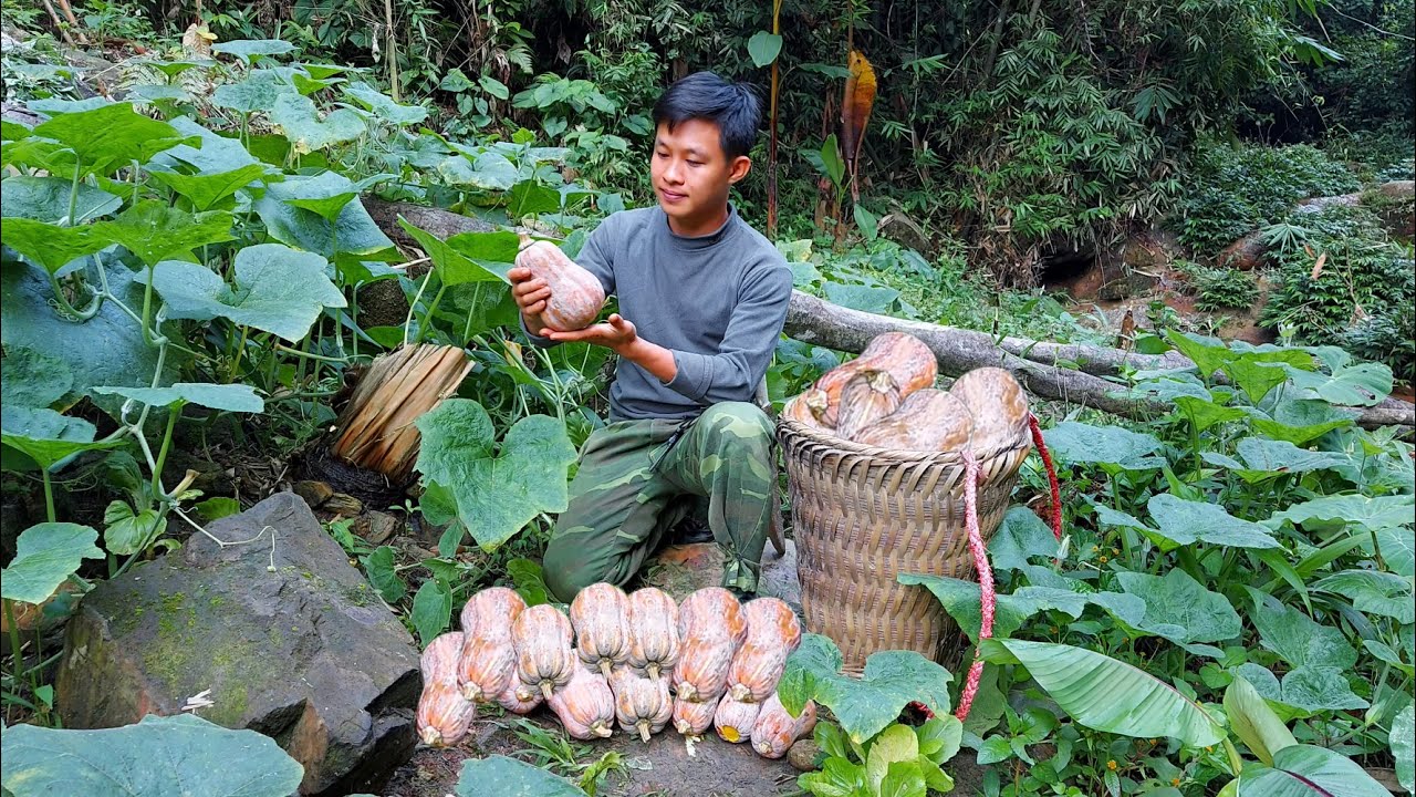 4 Months in the Garden: From Planting Radishes to Pumpkin Feasts | 1 ...