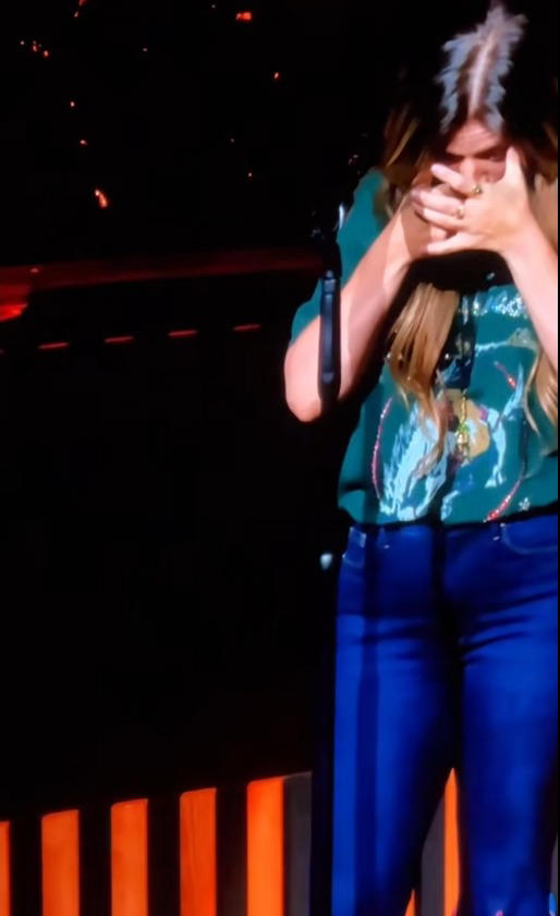 Kelly Clarkson breaks down crying in viral video days before ex-husband ...