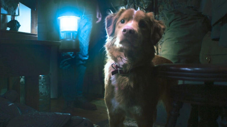 Thinking about getting a Shudder streaming subscription? This ...