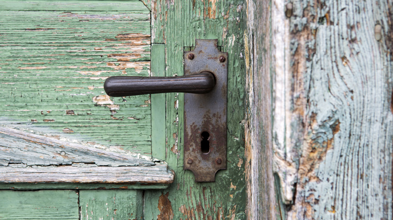 What To Know Before Painting Your Shed