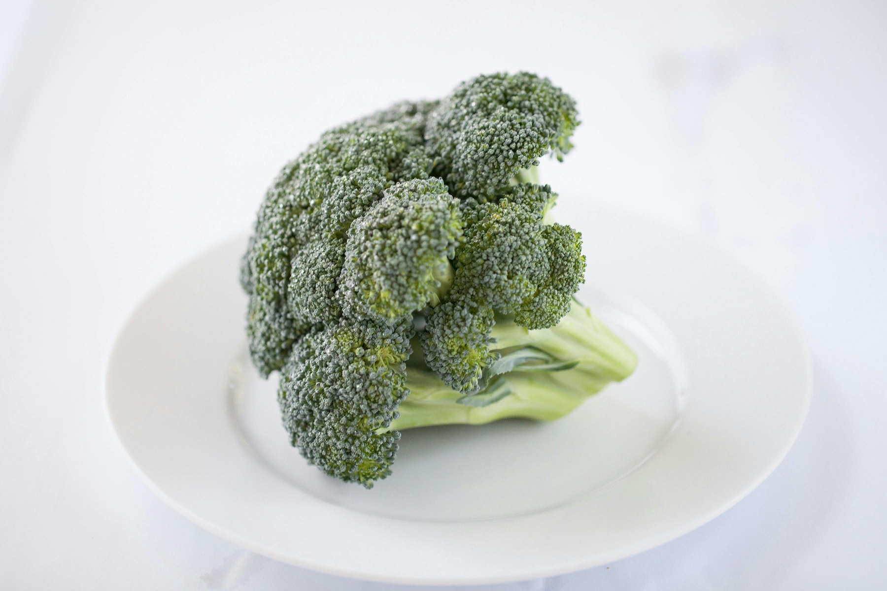 What is botulism, how is it caused and what are the symptoms? After man ...