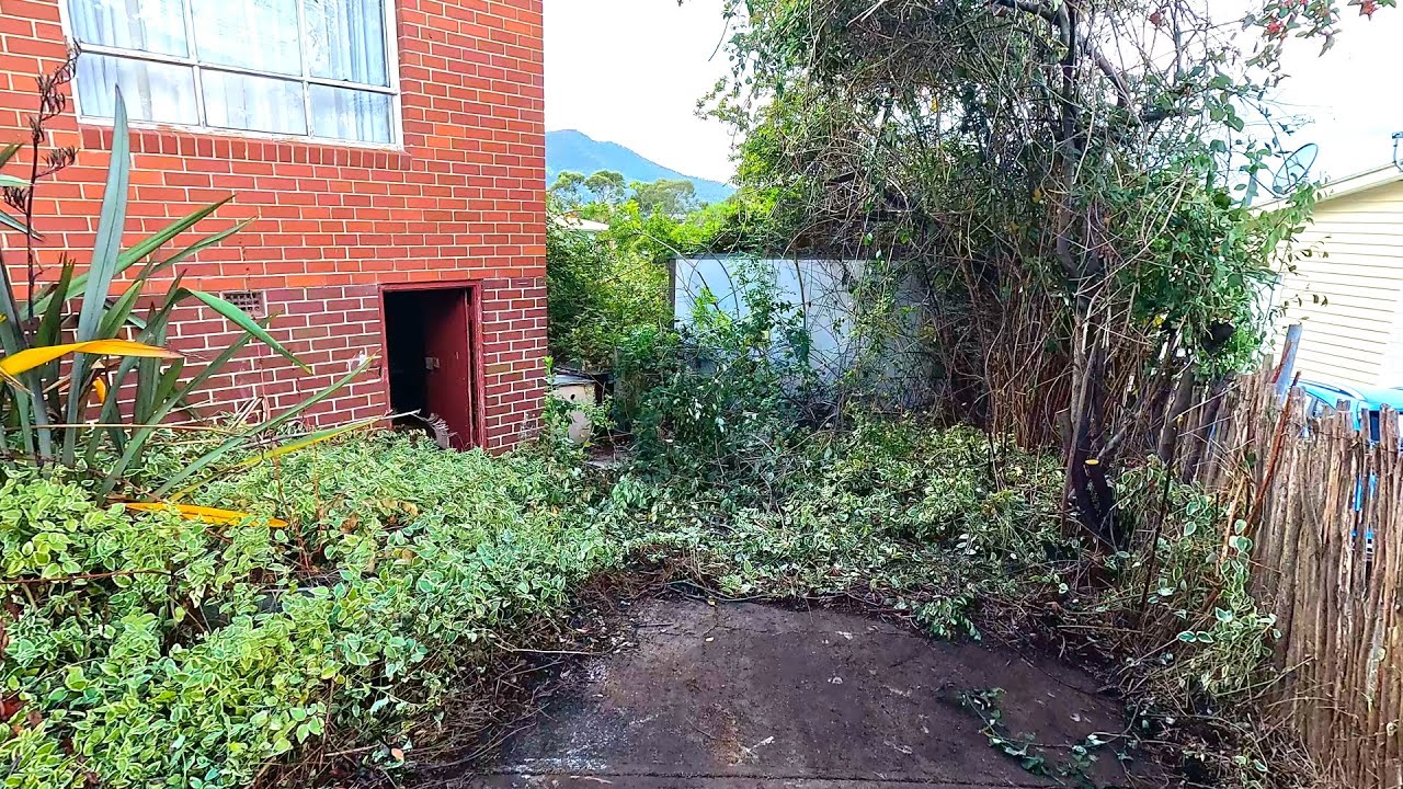 I fought nature to conquer this yard mess!