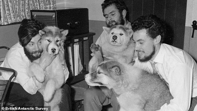 Remains of British researcher lost in Antarctica are FOUND after 66 ...