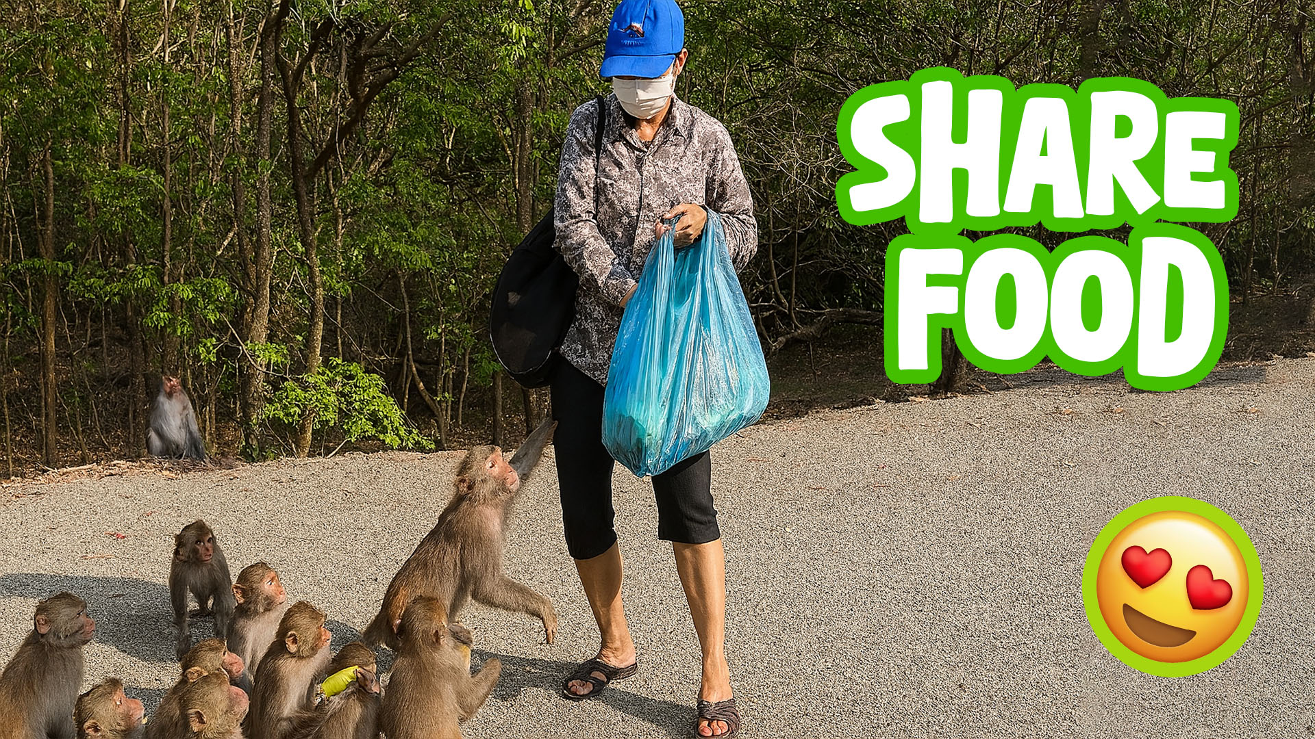 Human Sharing Food with a Curious Monkey