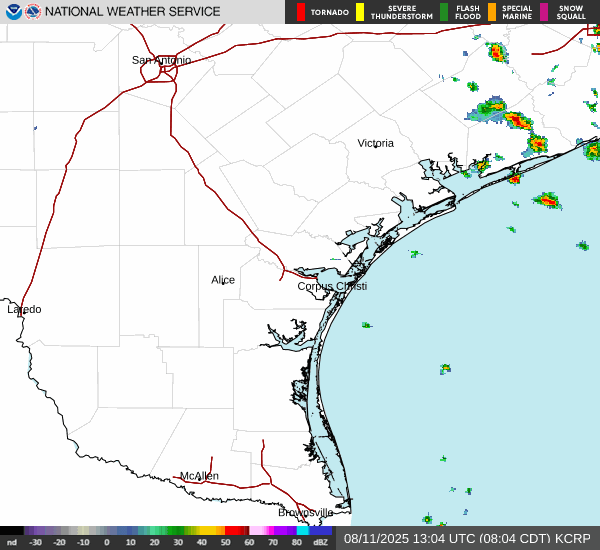 Got a minute? The latest on Tropical Storm Fernand, Invest 99L. Are ...