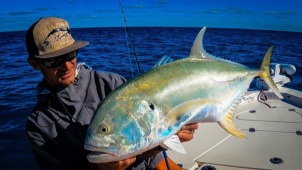 What You Need to Know About This Venomous Fish Near U.S. Shores