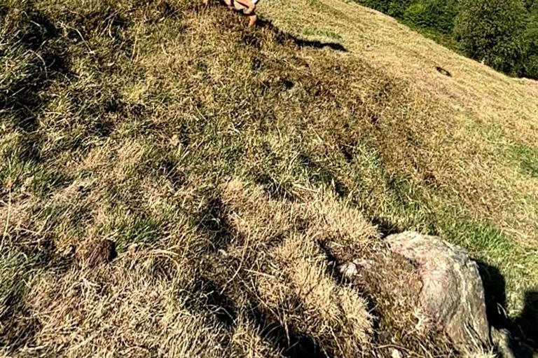 Dog walker captures UFO moving faster than the eye can see and becomes internet sensation