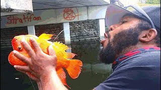 Fisherman’s Last Resort – Drinking Goldfish Pee to Stay Alive!