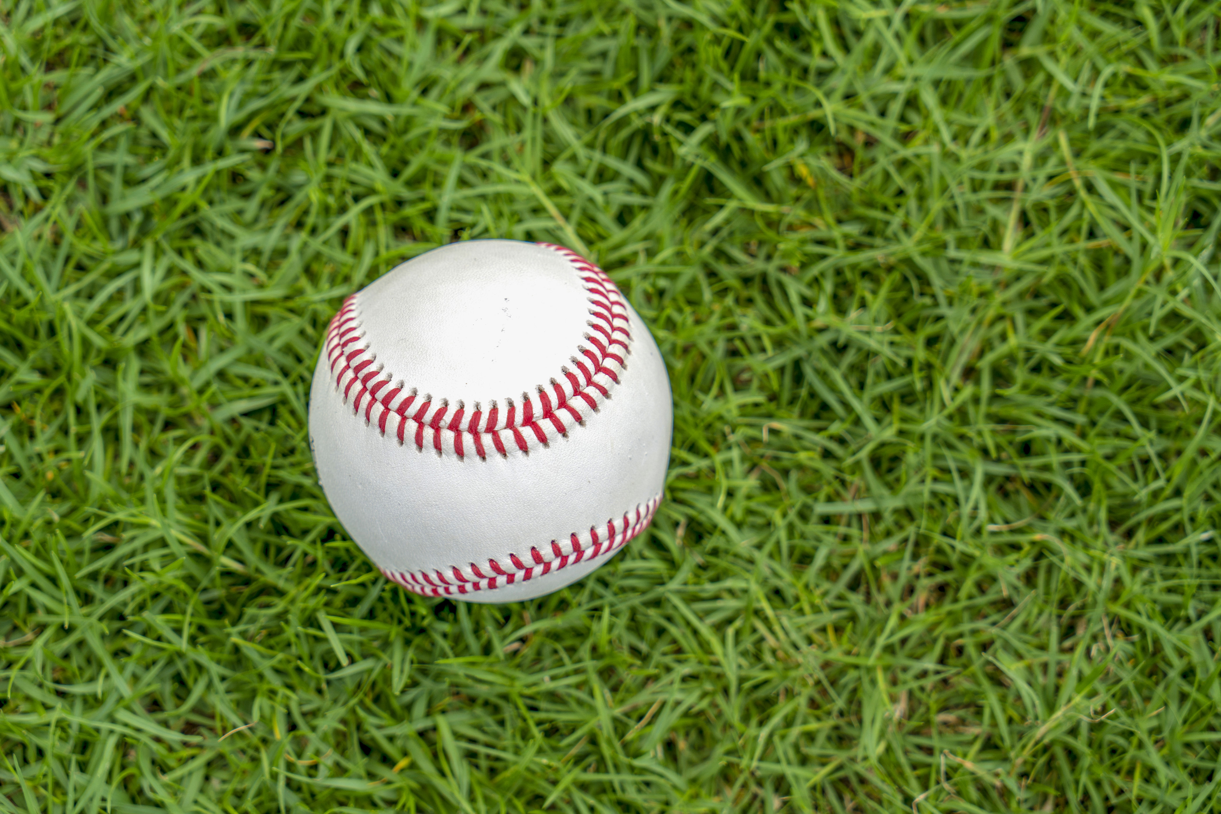 Pennsylvania beats Indiana 1-0 to win Little League Softball World Series