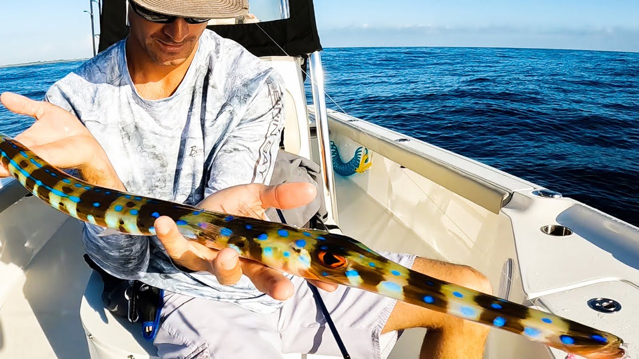 How micro jigging reveals the ocean’s hidden world