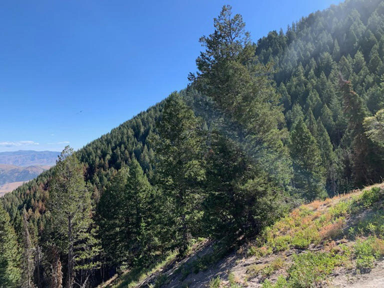 Perry Fire near Mantua Reservoir fully contained