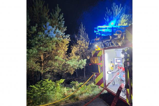 Fire service called out to fire at Hurn Forest