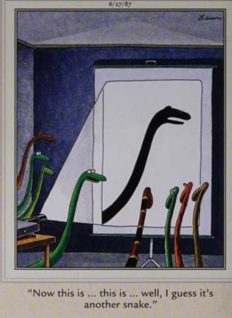 Underrated and Confusing Far Side Comics That Still Baffle Readers ...