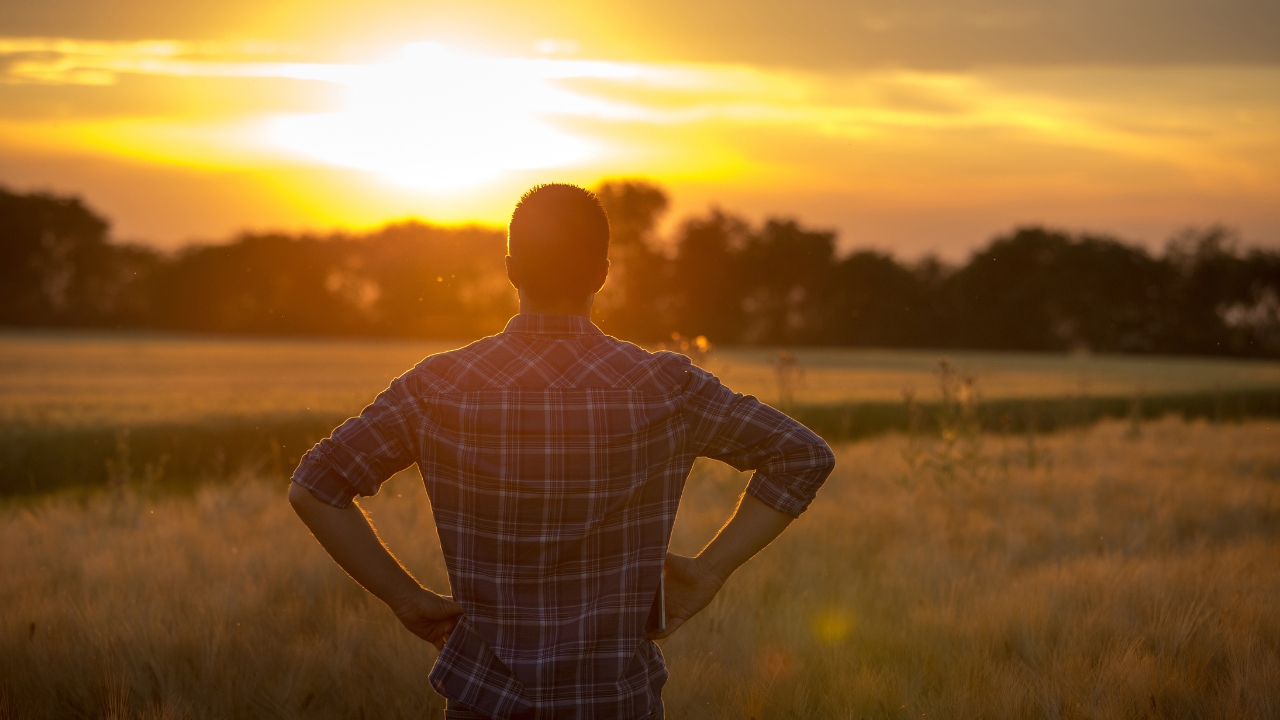 10 Things Nobody Warns You About Owning Land