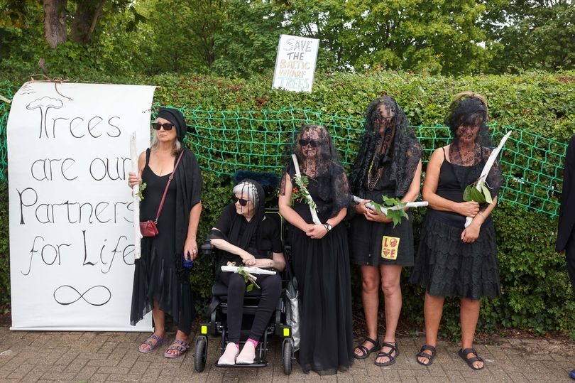 'Brides' hold funeral held for caravan park trees they married