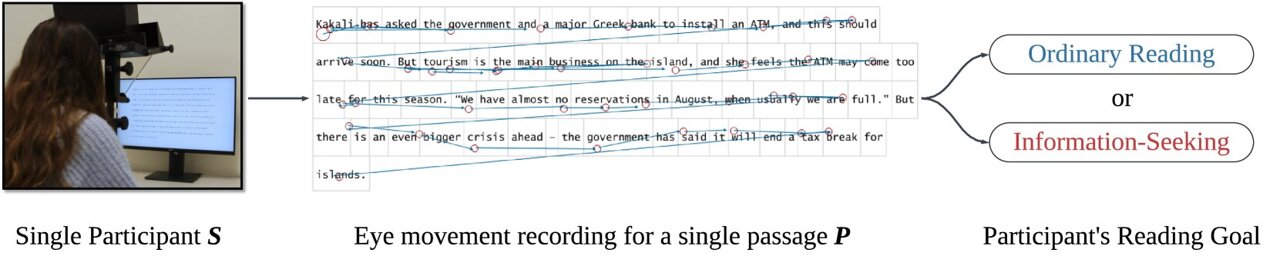 Eye-tracking tech achieves 90% accuracy in detecting readers' intent