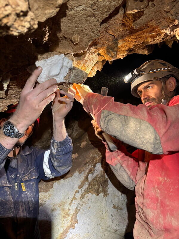 South African caves filled with fossil clues to Pleistocene Epoch