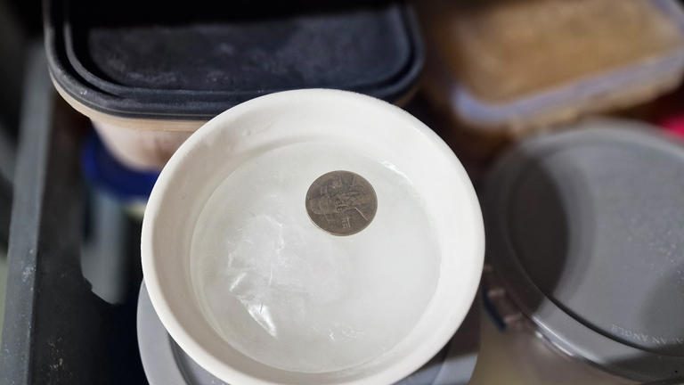 I always put a coin in my freezer before I go on vacation — here's why