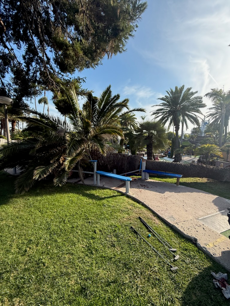 Woman loses arm after tree falls on her at Ventura's Golf N' Stuff