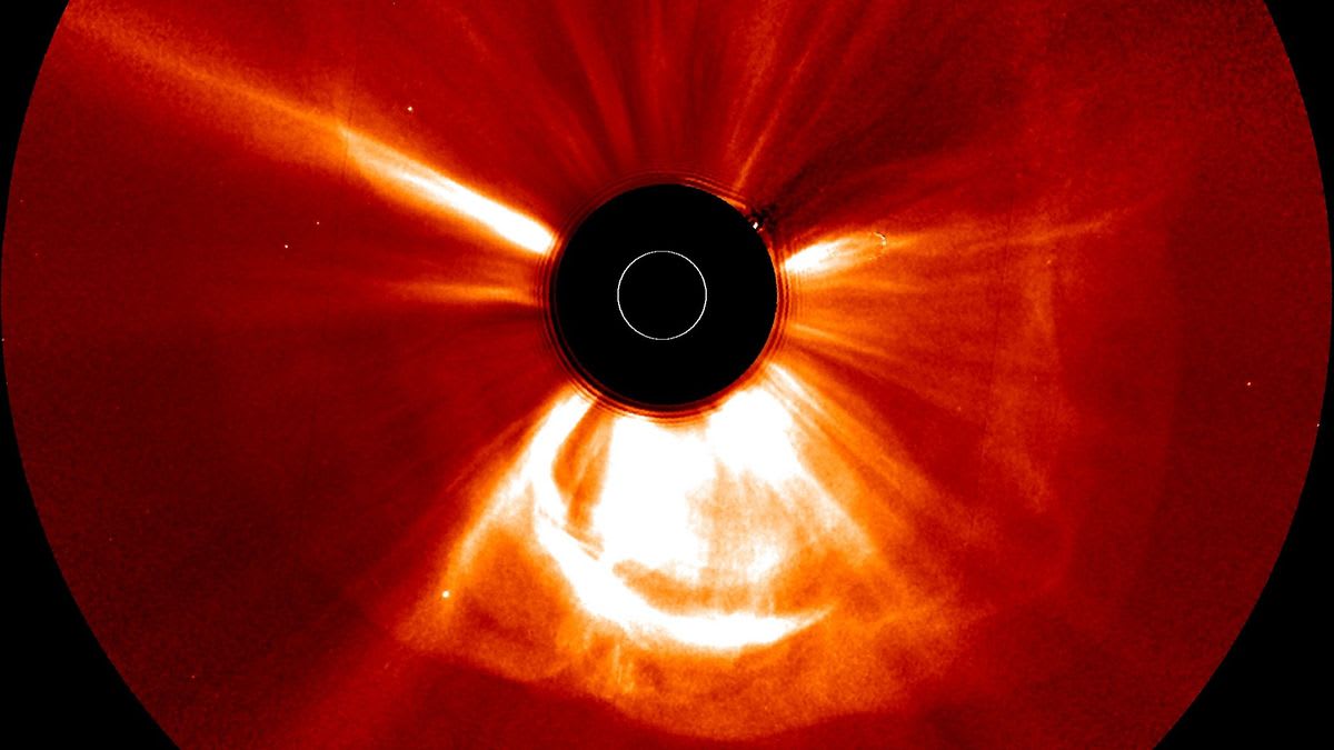 NASA Creates Incredible Visualization Of One Of The Largest Solar ...