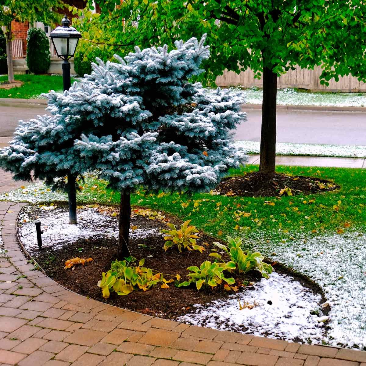 13 Creative Driveway Landscaping Ideas