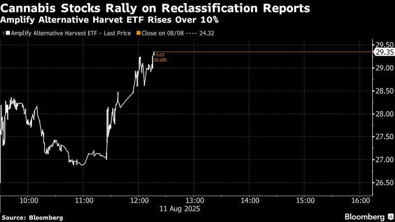 Pot Stocks Soar as Trump Considers Drug Reclassification