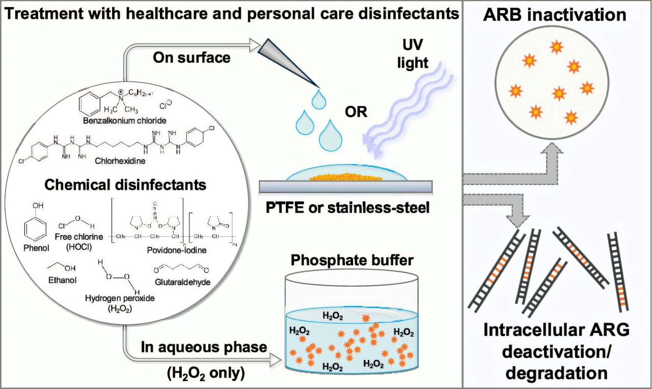 Researchers test common disinfectants' abilities to fight antibiotic ...