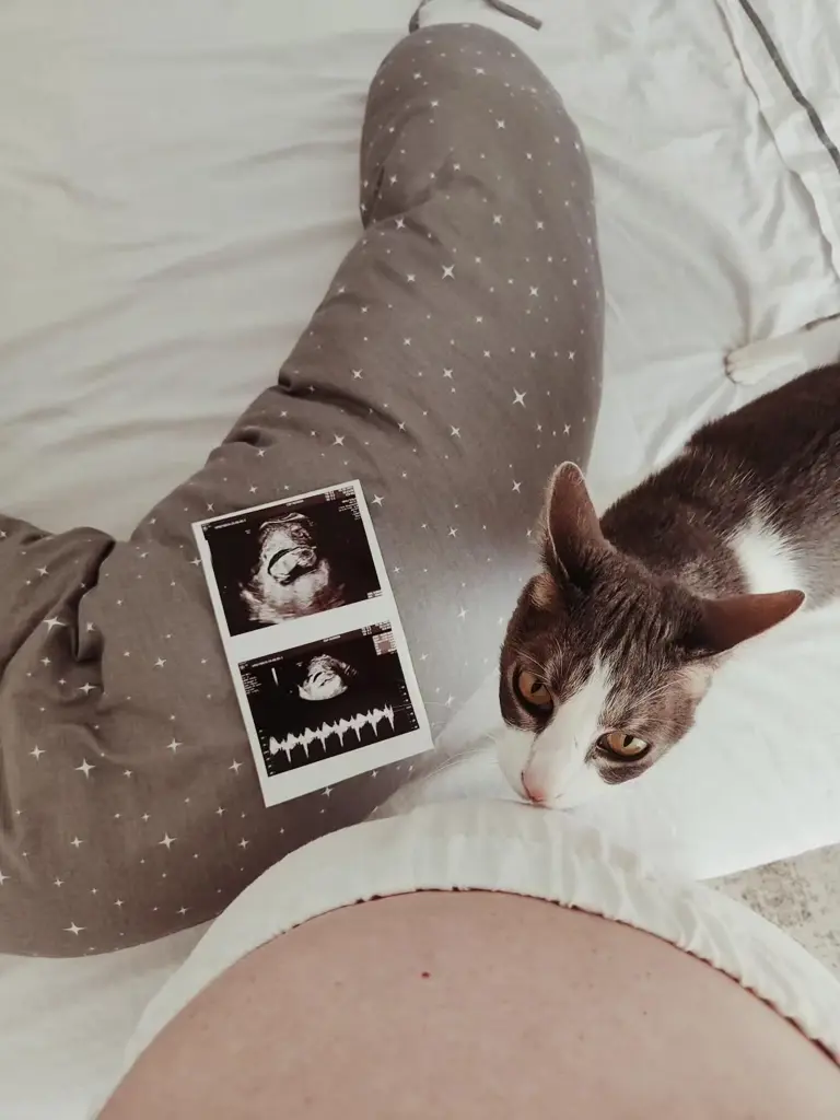 Está grávida! Aos 46 anos, Alda Gomes revela que vai ser mãe pela ...