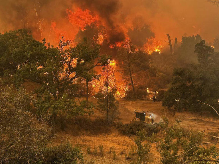 California wildfires scorched 525,000 acres in 2025. See biggest blazes