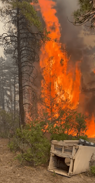 FEMA to provide funds to battle Oak Fire